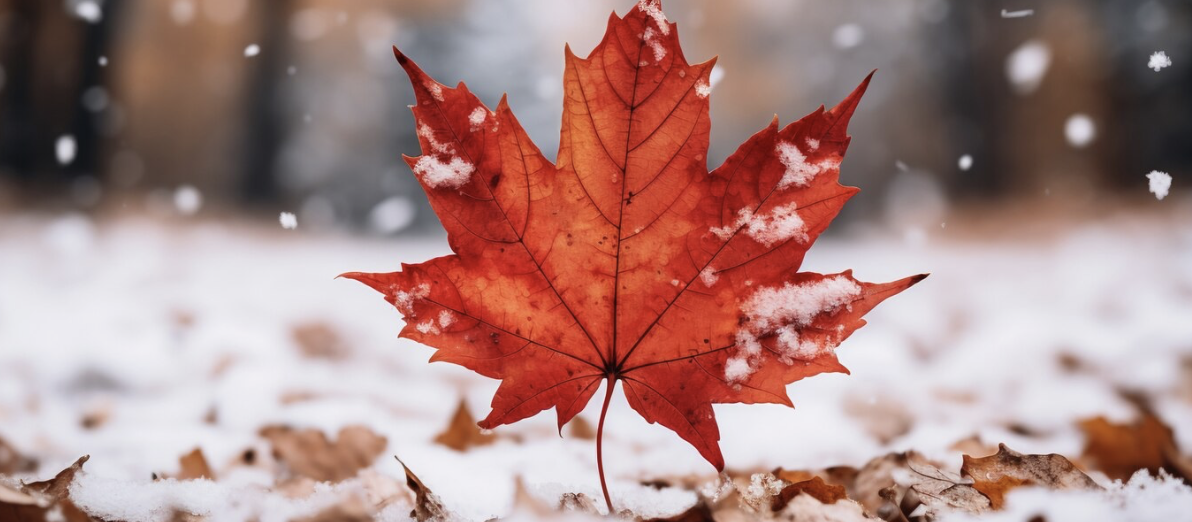 ¿Cómo es el clima en Canadá? Guía Completa - Contacto Global